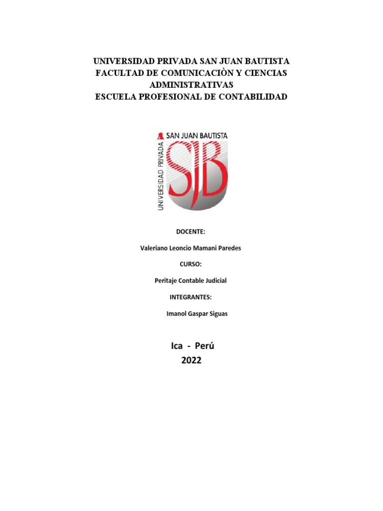 Estructura Informe LRPD (Unidad I) | PDF | Contabilidad | Contador