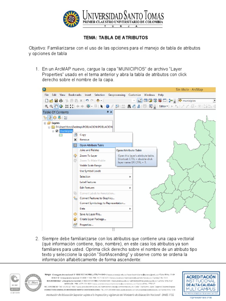 Uso de Tabla de Atributos en ArcMAP | PDF | Informática