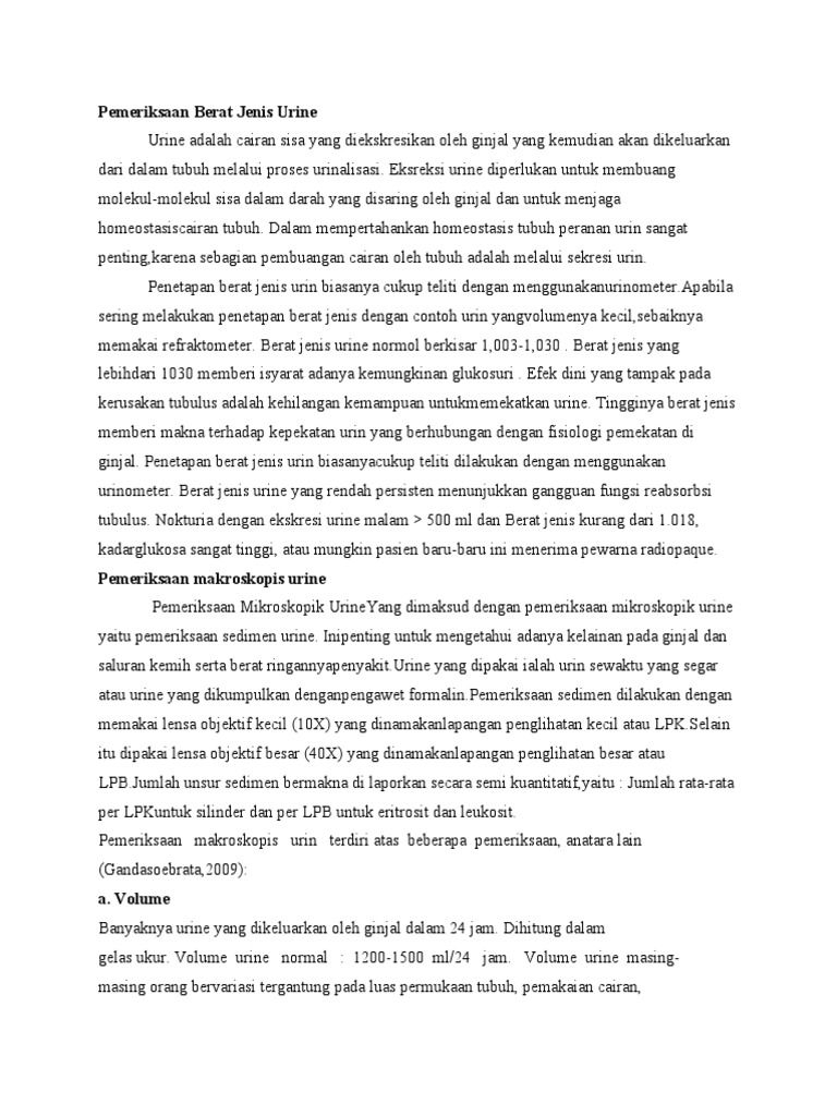 Pemeriksaan Berat Jenis Urin dan Makroskopis | PDF