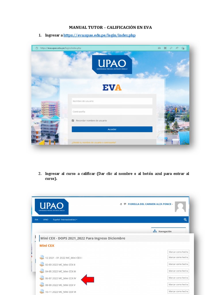 Eva - Tutor - Calificación | PDF | Microsoft Excel | Software