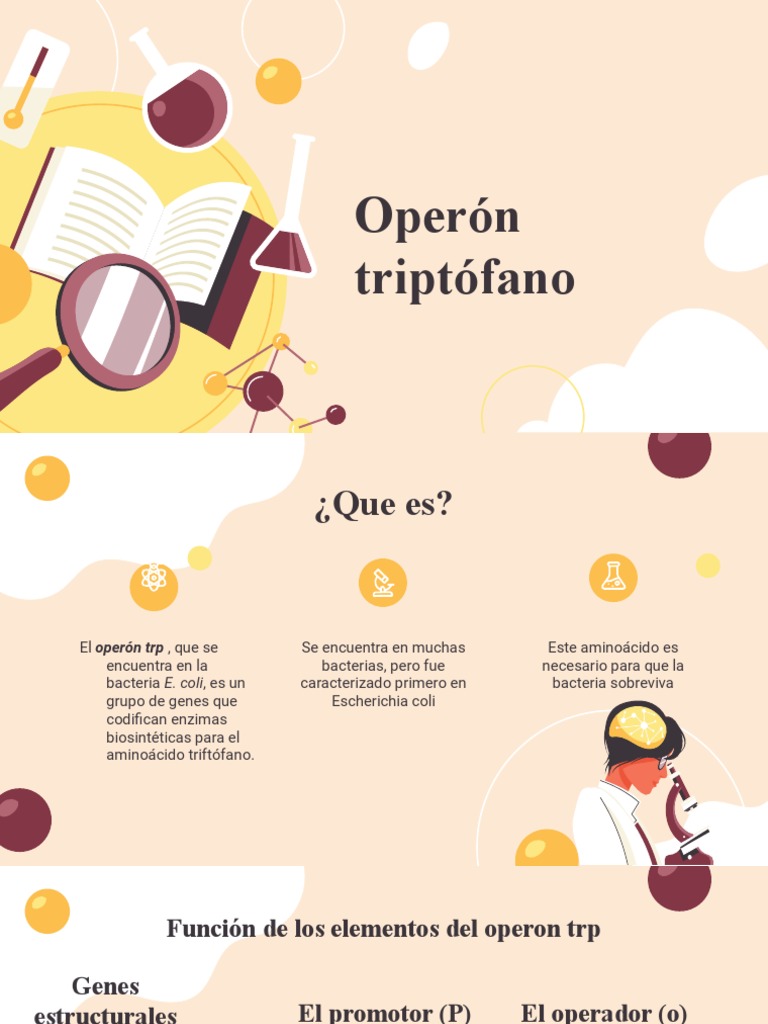 Operon TRP | PDF | Operón | La expresion genica