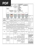 Ficha Tecnica Ladrillo 6H Big - Incerpaz | PDF | Naturaleza