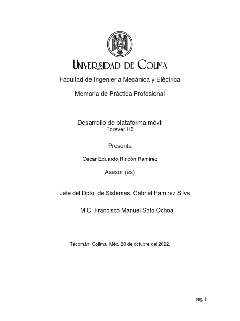 Memoria de Practicas Profesionales | PDF