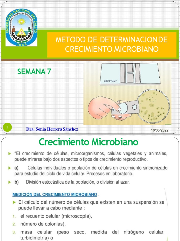 07-Metodos de Determinacion de Crecimiento Microbiano | PDF | Microorganismo | Las bacterias