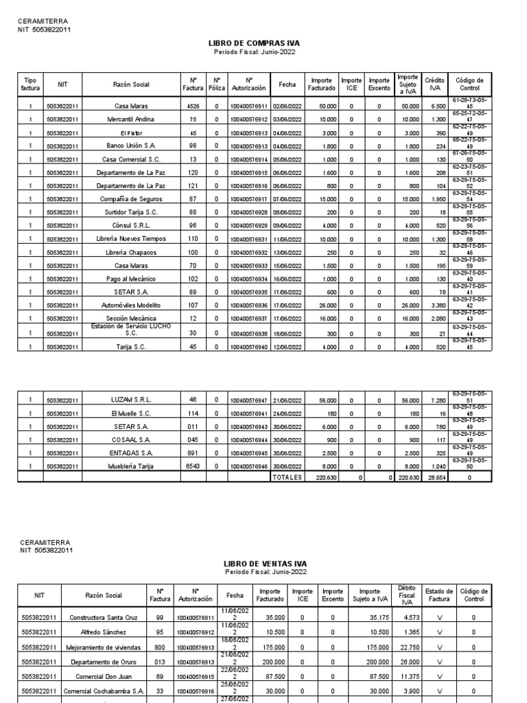 Libro de Compras y Ventas IVA | PDF