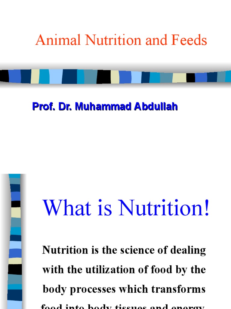 21 Animal Nutrition and Feeds | PDF | Animal Feed | Nutrients