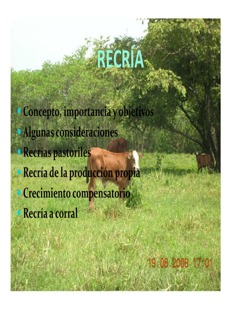 RECRÍA. Concepto, Importancia y Objetivos Algunas Consideraciones ...