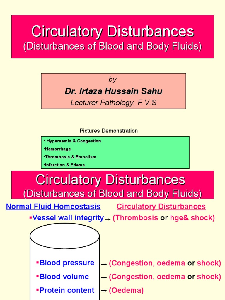 Circulatory Disturbances 2014 | PDF | Thrombus | Thrombosis