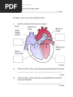 HOSA Forensic Science Practice Test | PDF | Crime Scene | Forensic Science