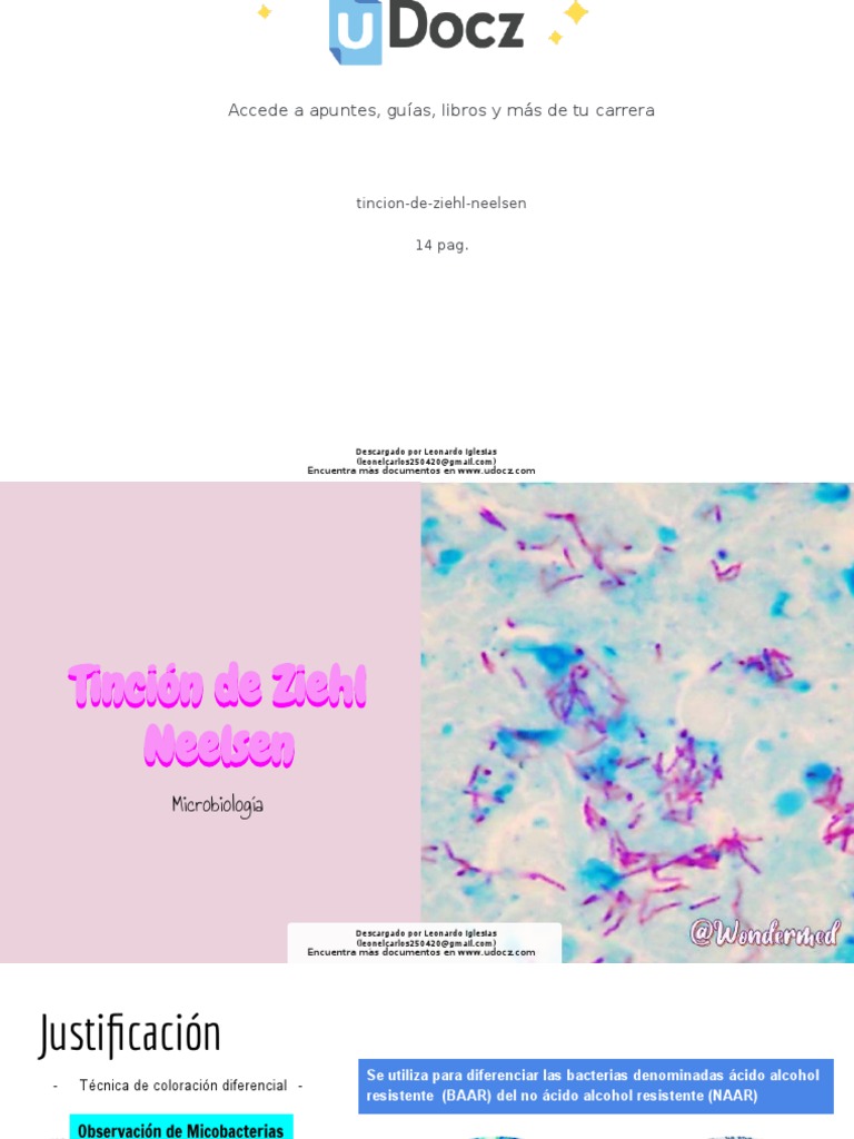 Tincion-De-Ziehl-Neelsen Modelo | PDF | Microscopía | Citopatología