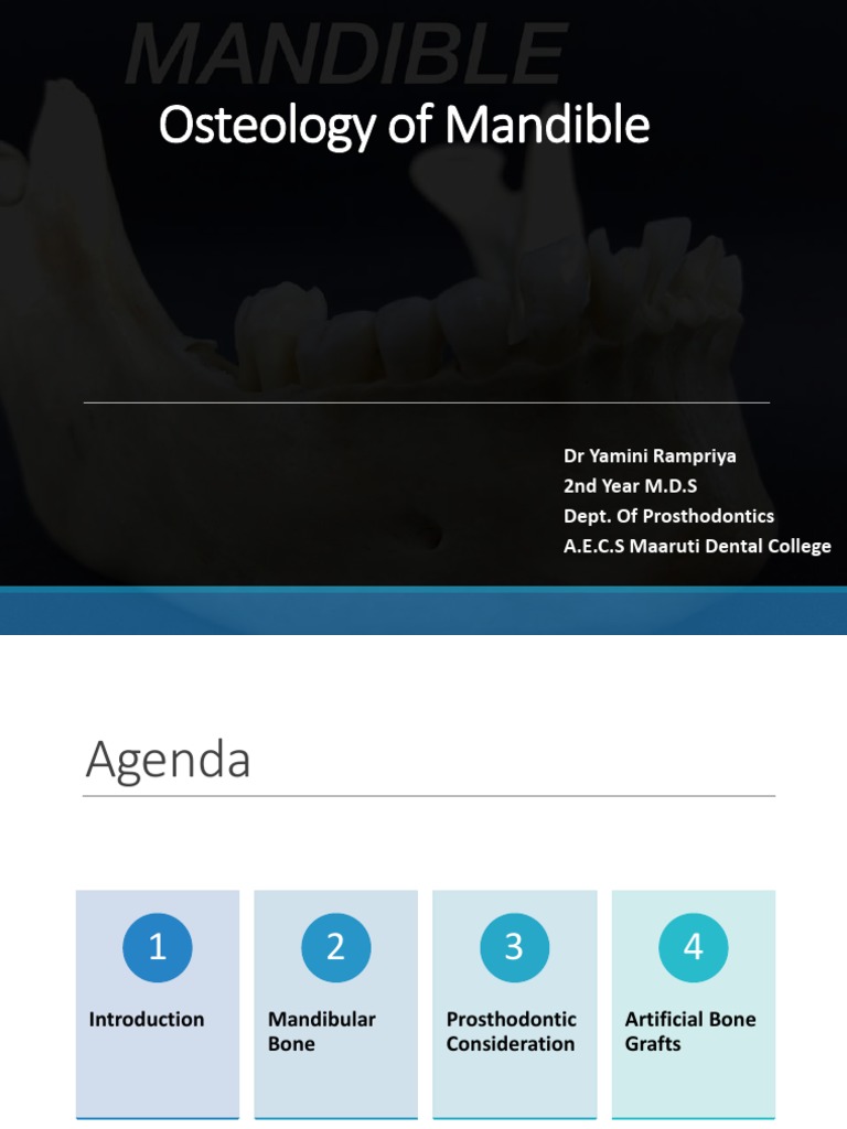 Osteology of Mandible | PDF