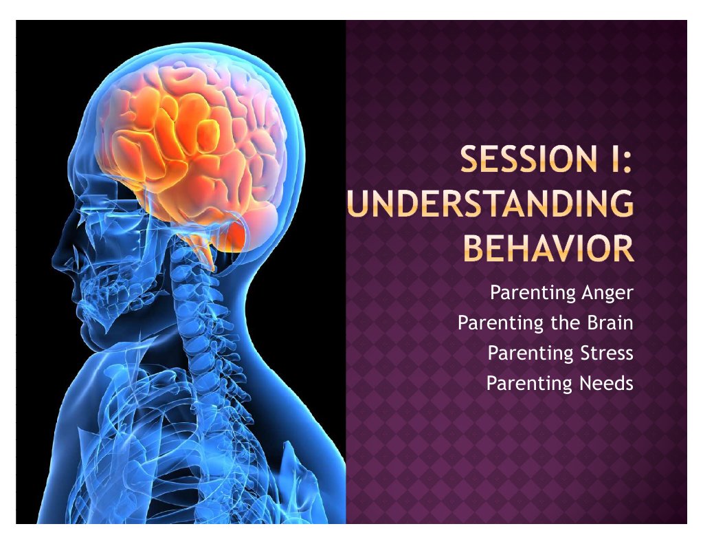 Parenting The Brain | PDF | Language Arts & Discipline | Science ...