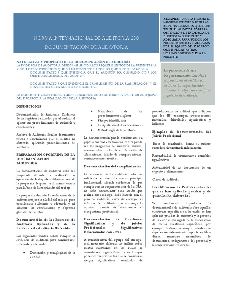 Esquemas NIA 230, 500 y 501 | PDF | Auditoría | Contralor