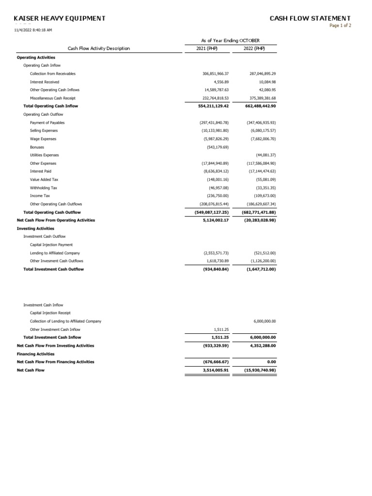 Cashflow Statement Printout | PDF | Expense | Cash Flow Statement