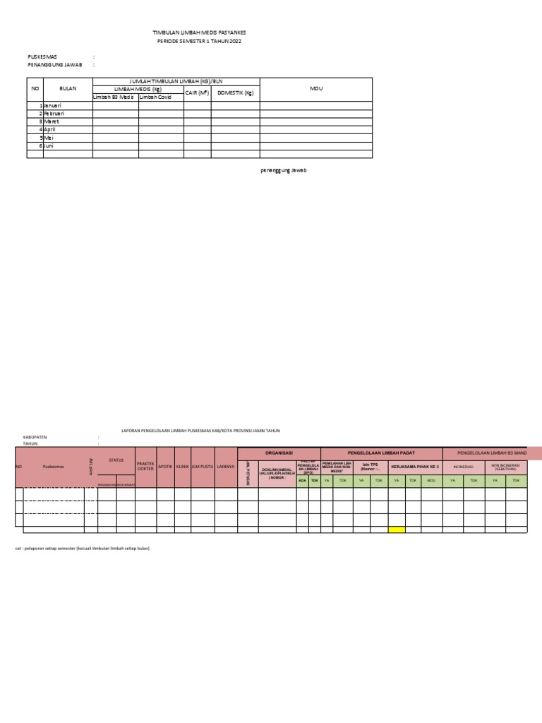 Form Indikator PLM Puskesmas | PDF