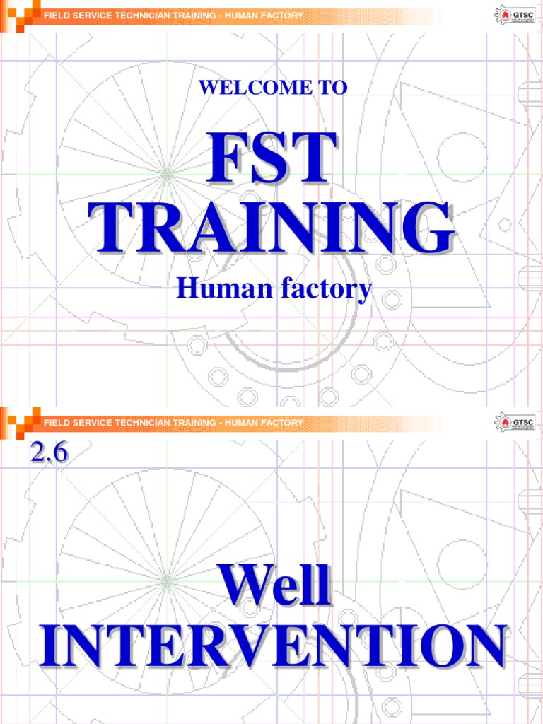 Well Interventions | PDF | Oil Well | Chemical Engineering