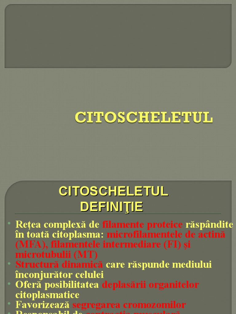 Curs 4 - Citoschelet | PDF