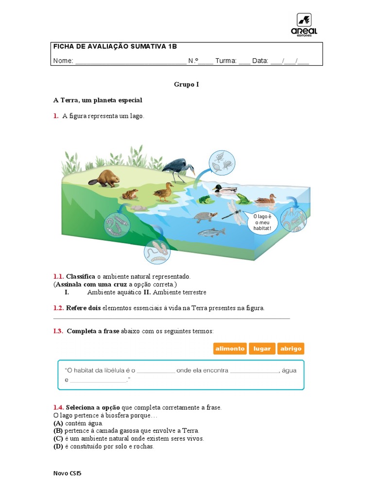 Ncsi5 Ficha 1 2 | PDF | Solo | Ambiente natural