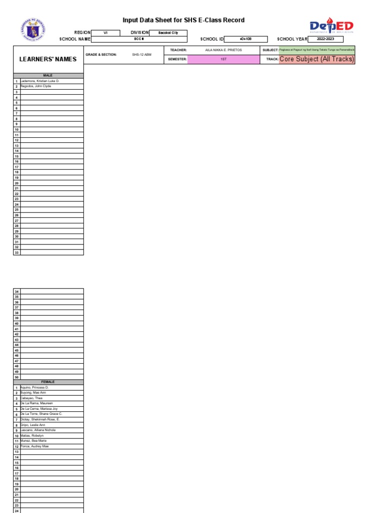 Shs E Class Record Input Data Sheet Pdf