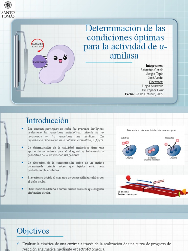 Actividad Enzimática Alfa Amilasa | PDF | Enzima | La cinética de enzimas