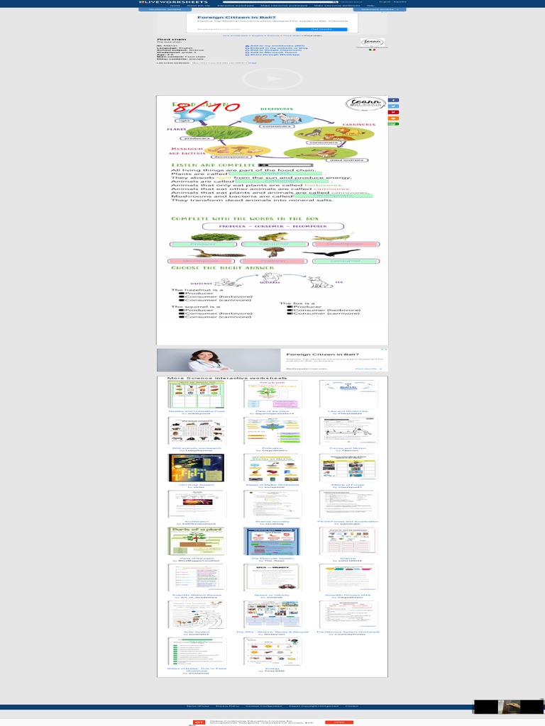 Food Chain Interactive Worksheet | PDF | Science | Worksheet