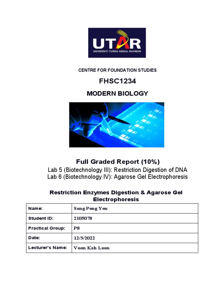 P8 - Song Peng Yen - Lab - Report | PDF | Gel Electrophoresis | Agarose ...