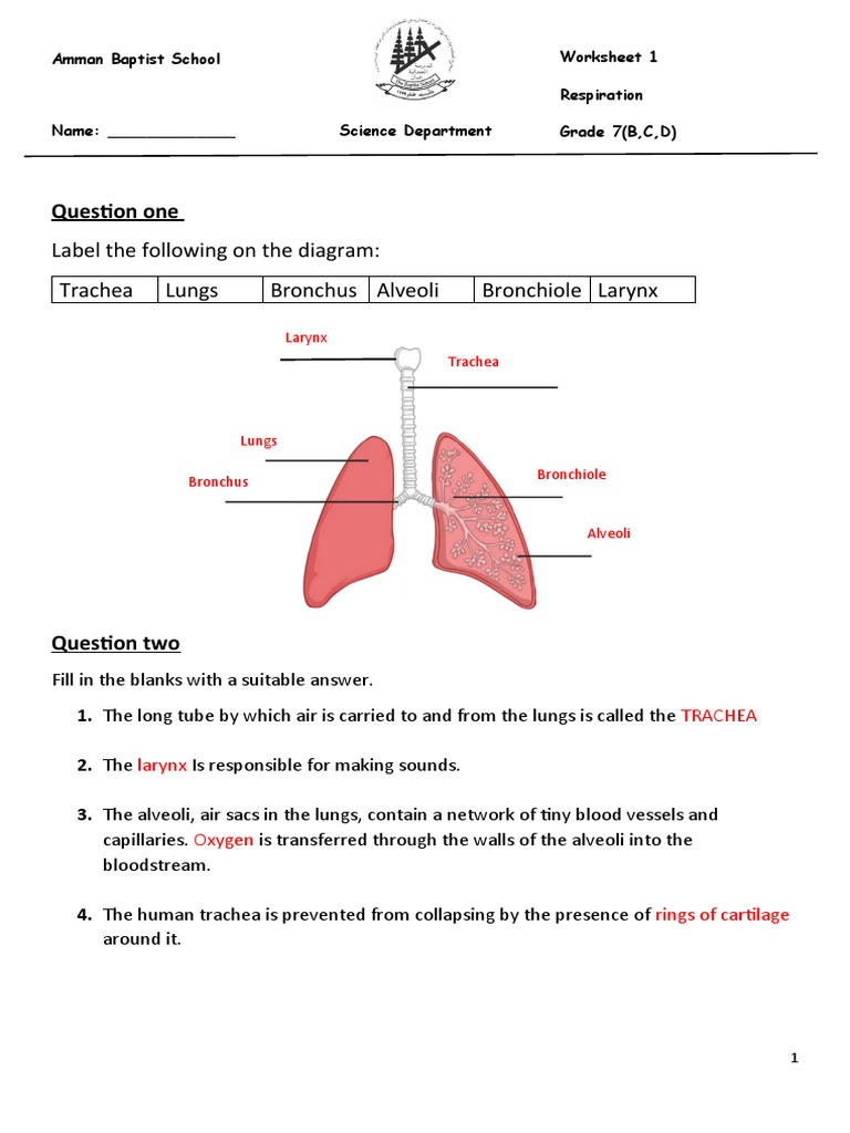 Answer Key Unit 1 1st Exam | PDF
