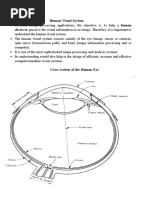 Photopic, Mesopic, and Scotopic Vision | PDF | Contrast (Vision ...