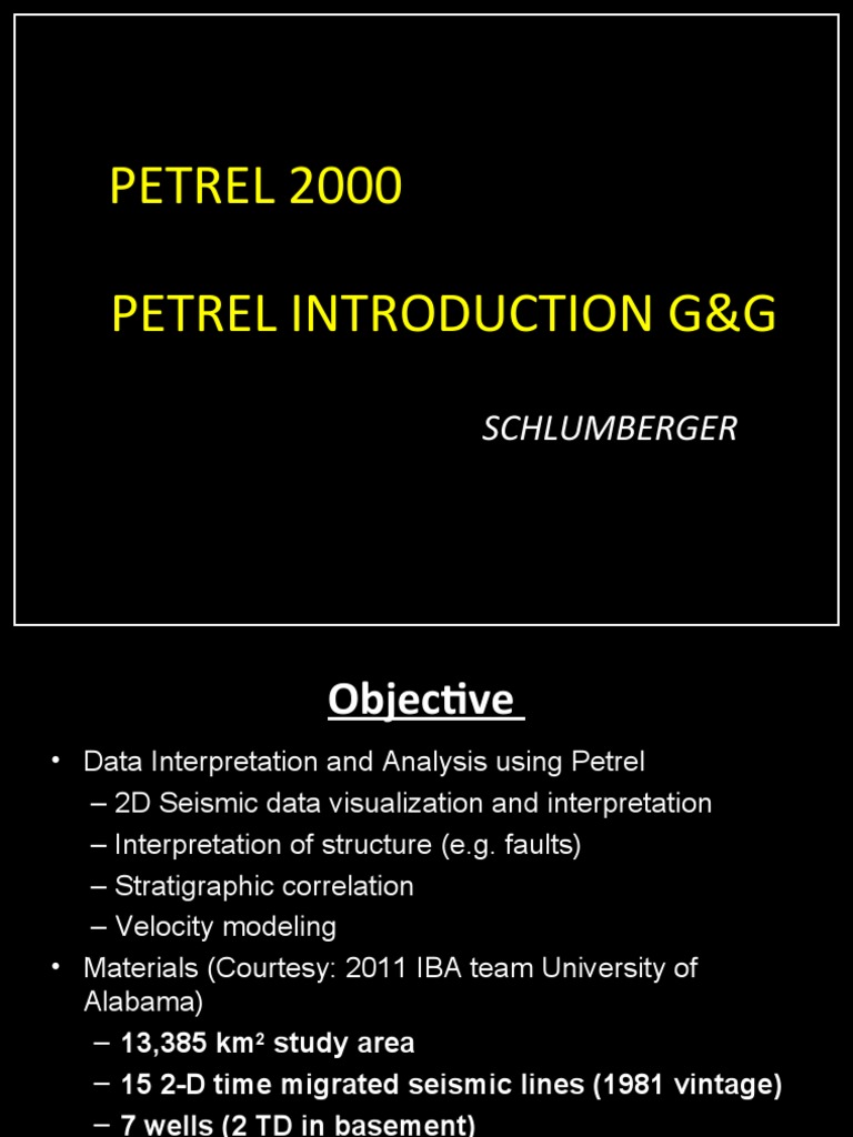 Petrel Data Visualization Techniques | PDF | Reflection Seismology ...