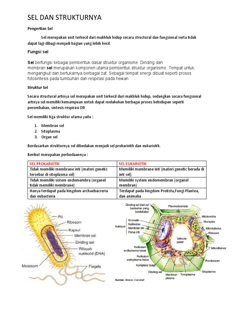 Sel Dan Strukturnya Pdf