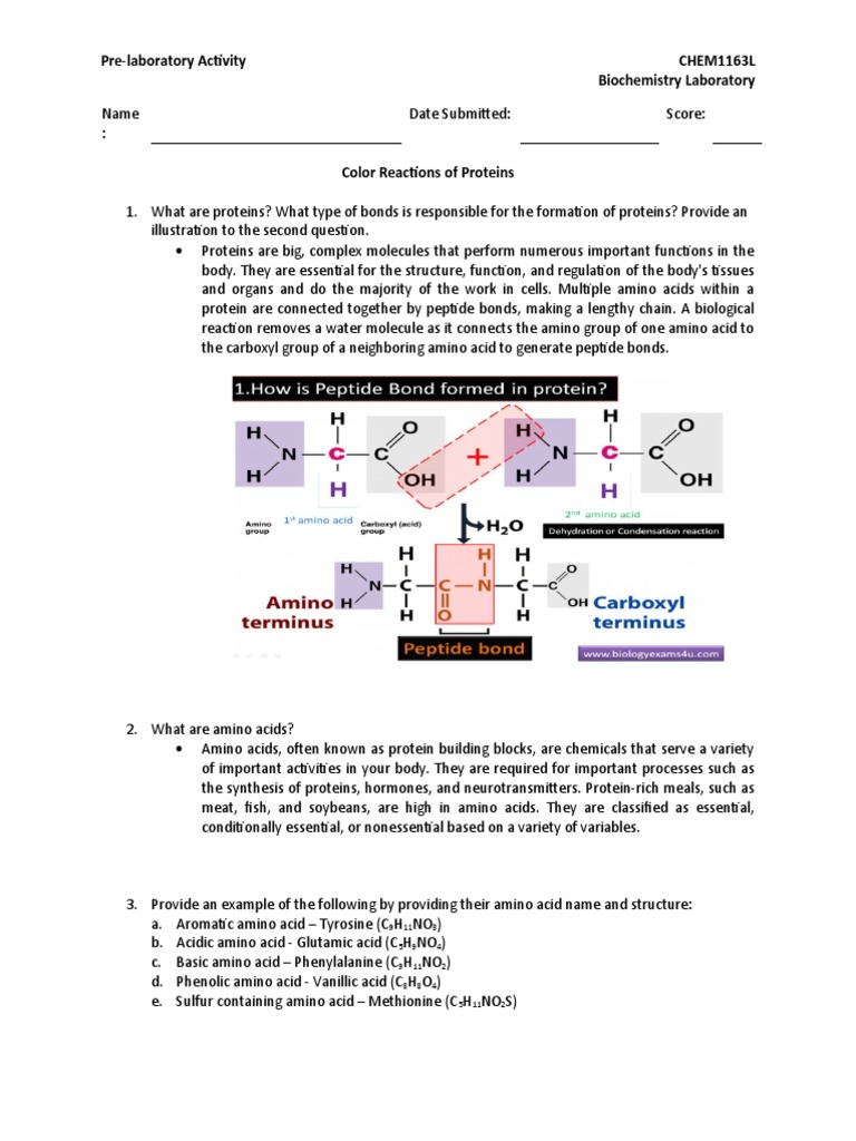Pre-Lab Expt 4-Colored Reactions of Proteins | PDF | Amino Acid | Proteins