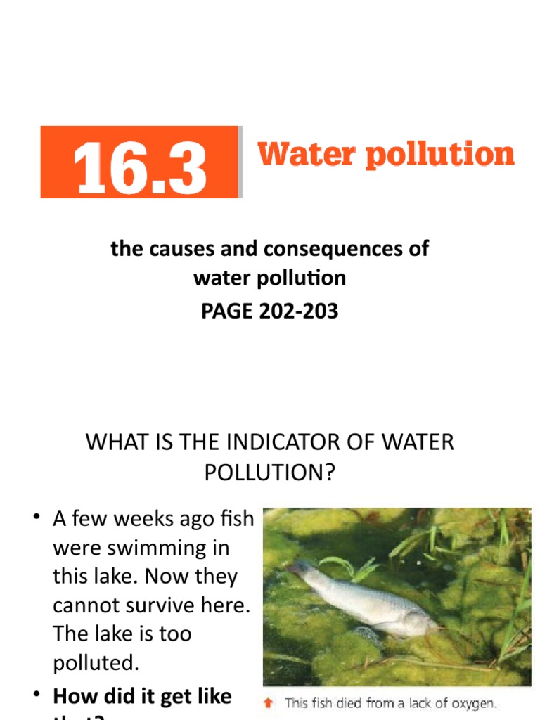 Causes and Effects of Water Pollution | PDF | Science & Mathematics