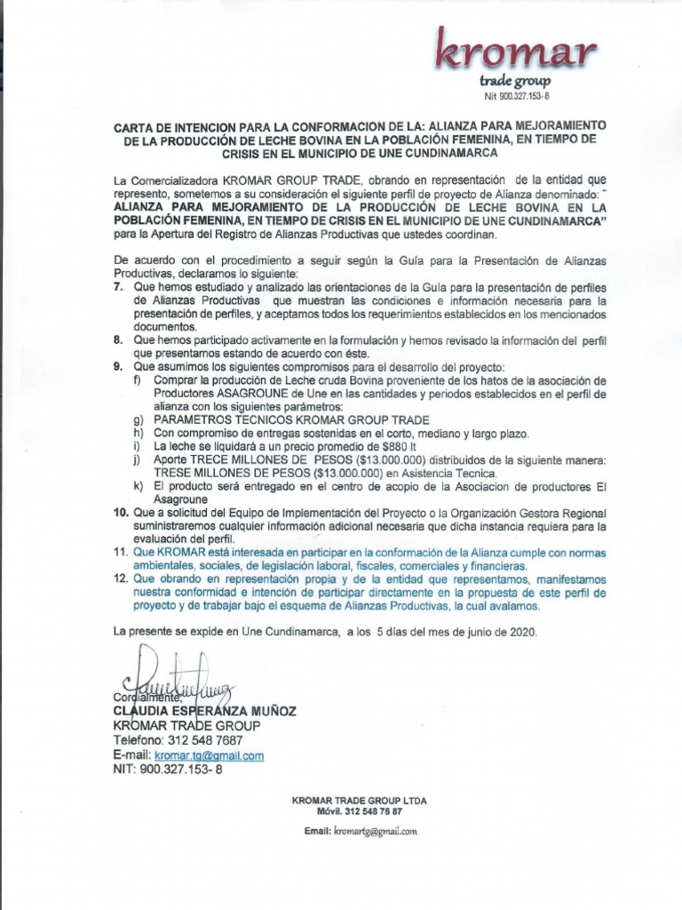 Carta de Intencion Kromar | PDF
