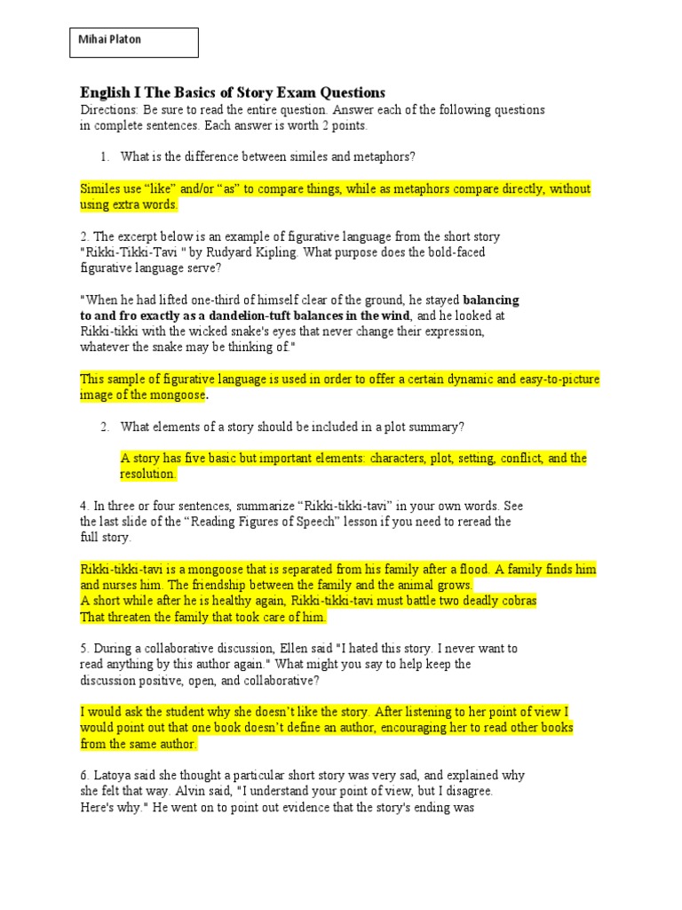 Mihai Platon I The Basics of Story Exam Questions | PDF | Cognition