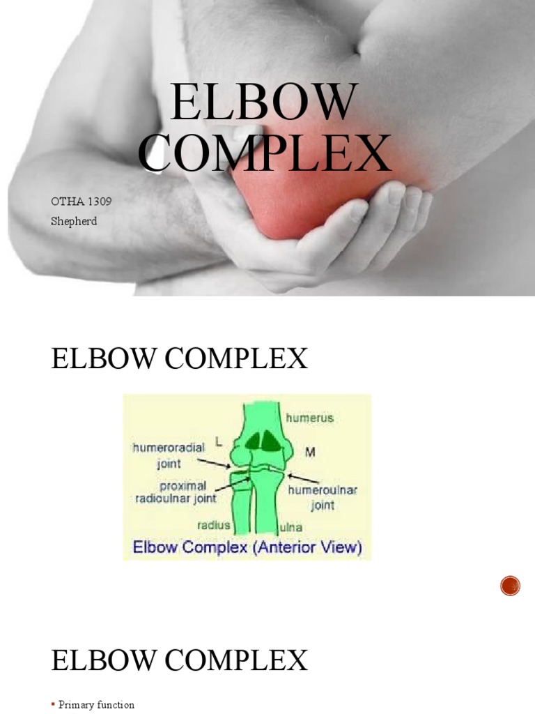 Elbow Complex | PDF | Elbow | Anatomical Terms Of Motion