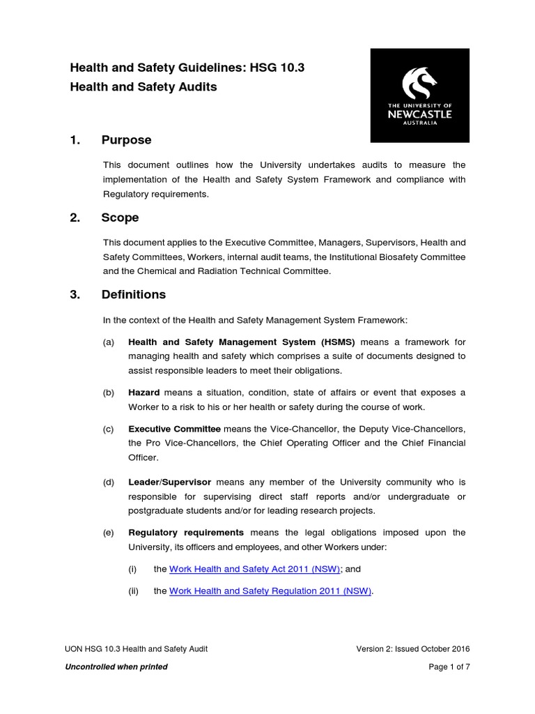 HSG 10.3 Health and Safety Audits v2 2016 | PDF | Occupational Safety ...