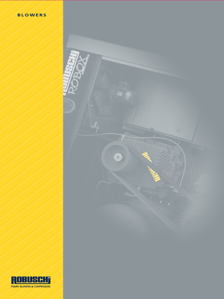Robuschi Blower Product Overview | PDF | Pump | Vacuum