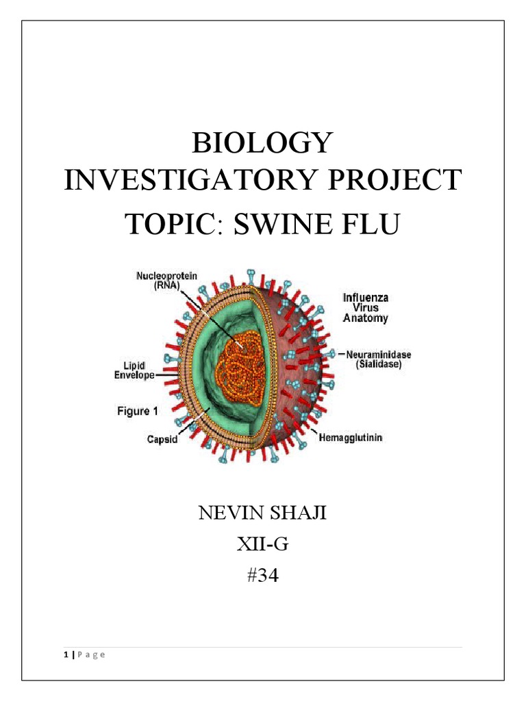Biology Investigatory Project | PDF | Influenza | Swine Influenza