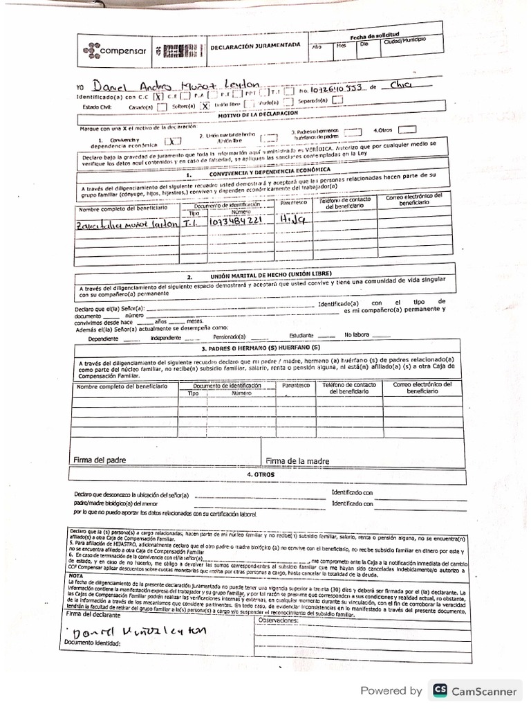 Declaración Daniel Andrés Muñoz Leyton | PDF
