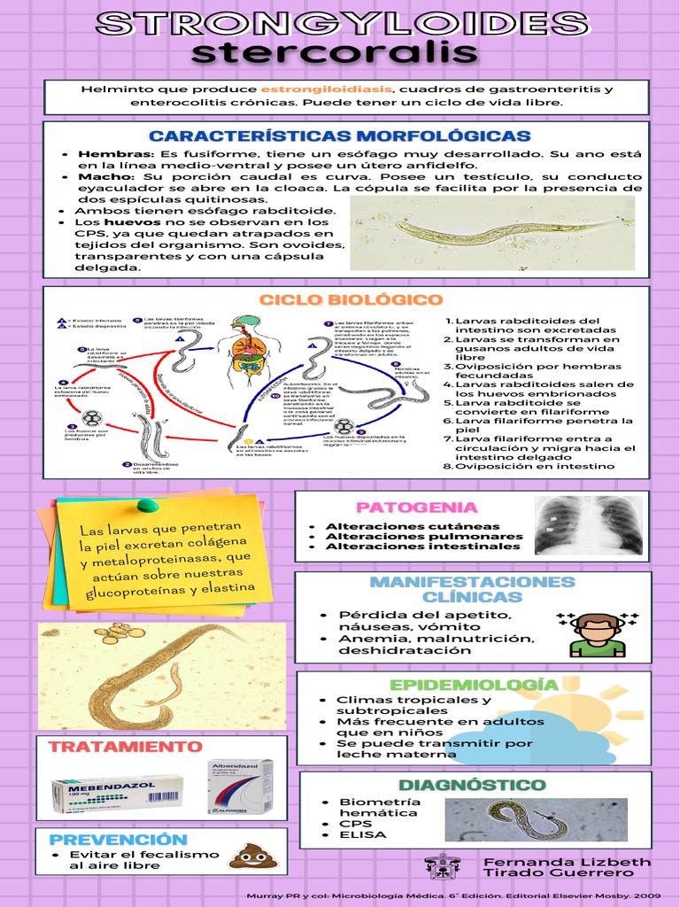 Strongyloides Stercoralis | PDF | Medicina CLINICA | Gastroenterología