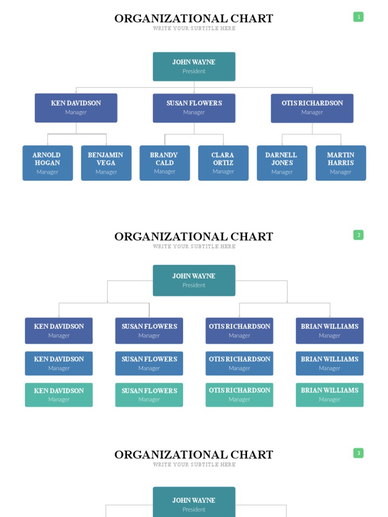 Organizational Chart Overview | PDF | Marketing | Market (Economics)