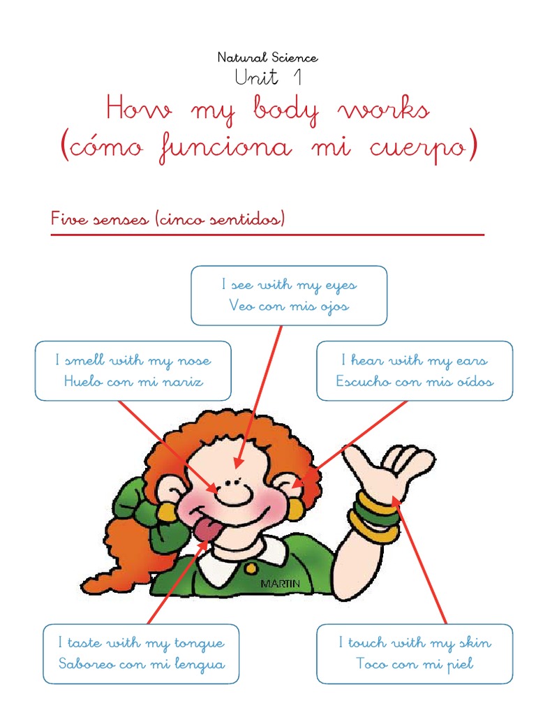 Natural Science 2 Unit 1 How My Body Works | PDF | Esqueleto ...