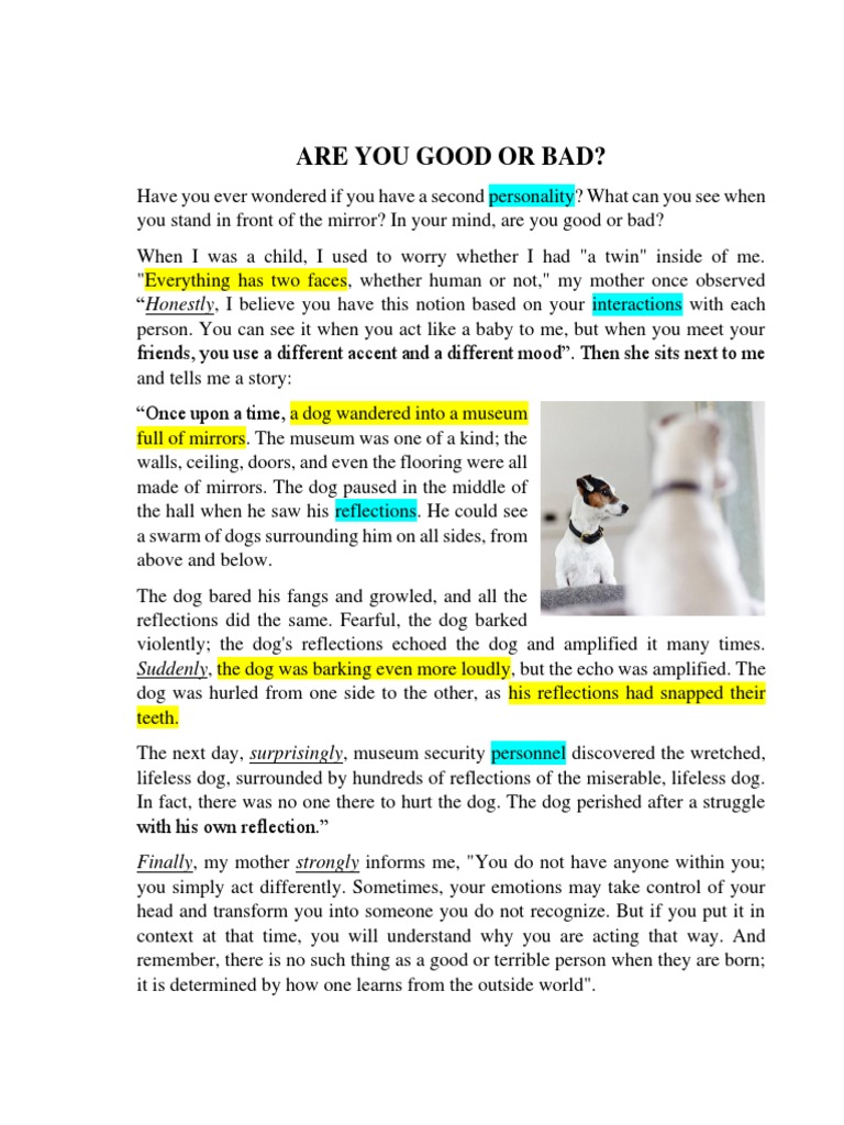 Are You Good or Bad | PDF | Psychology