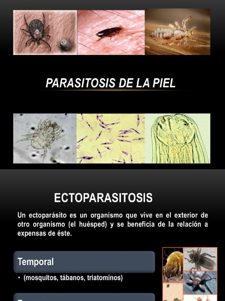 Parasitosis en La Piel | PDF