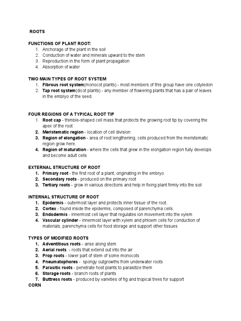 Plant Roots and Functions Guide | PDF | Petal | Seed