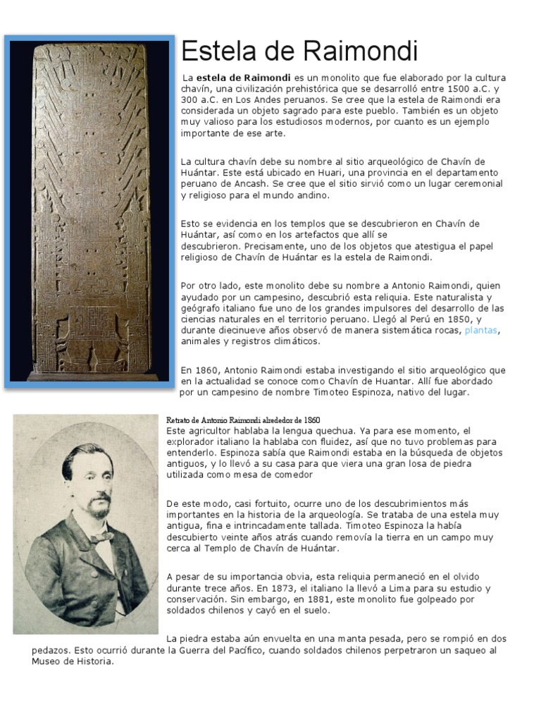 Estela de Raimondi | PDF