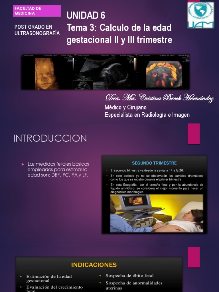 Calculo de La Edad Gestacional II y III Trimestre | PDF | Cráneo ... Calculo de La Edad Gestacional II y III Trimestre | PDF | Cráneo ...