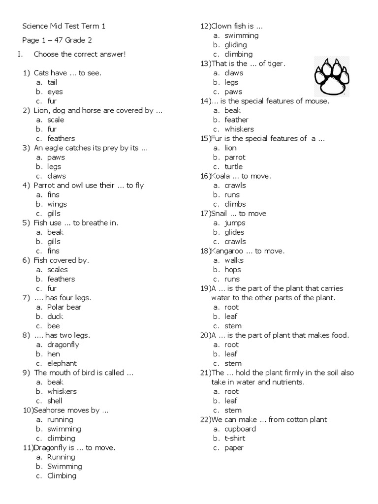 Science Mid Test Term 1 Page 1 - 47 Grade 2 | PDF | Carrot | Fruit