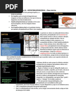 Protocolo Blue | PDF | Enfermedades y trastornos | Neumología
