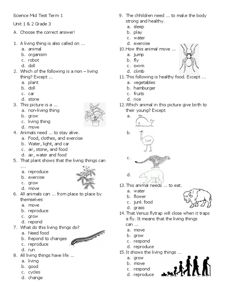 Grade 3 Science Mid Test Term 1 | PDF | Organisms
